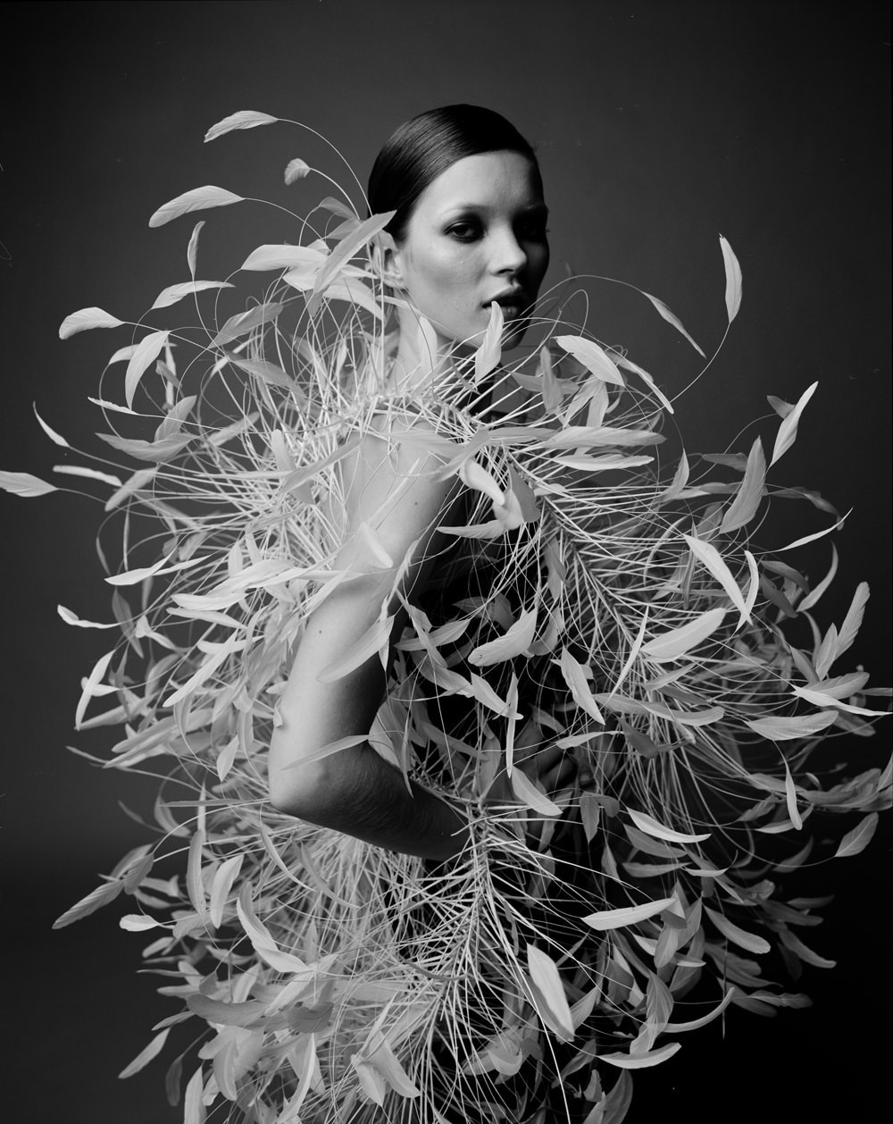 Satoshi Saïkusa | ARTIST | SEPT Inc.